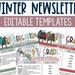 Winter Newsletter Templates - Etsy