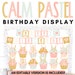 Calm Pastel Classroom Decor Birthday Display Editable - Etsy