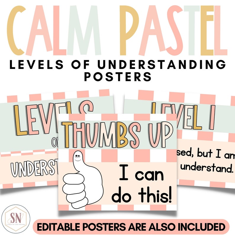 Calm Pastel Classroom Decor | Levels of Understanding Posters ...