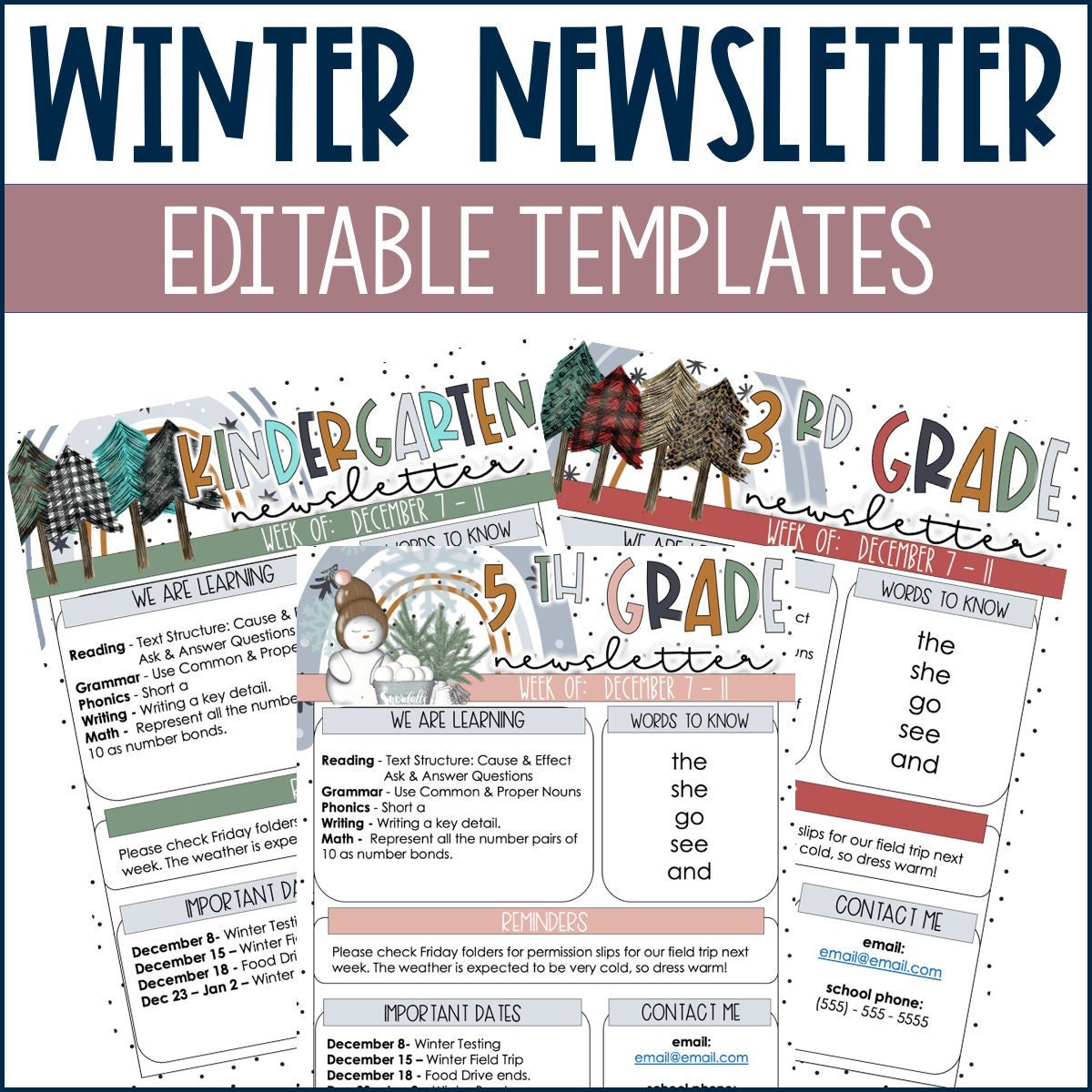 Winter Newsletter Template