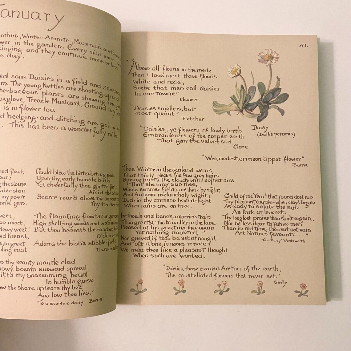 The Country Diary of an Edwardian Lady by Edith Holden - Etsy