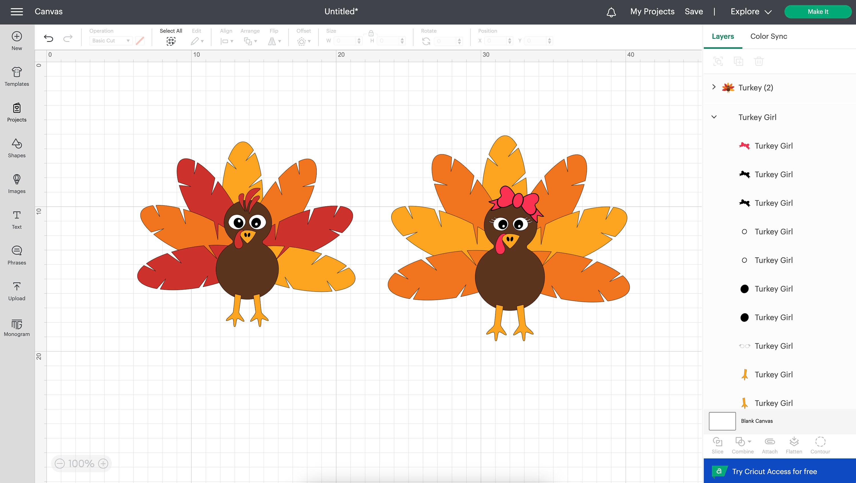 Turkey SVG, Thanksgiving Turkey SVG, Mr and Mrs. Turkey Svg, Turkey ...