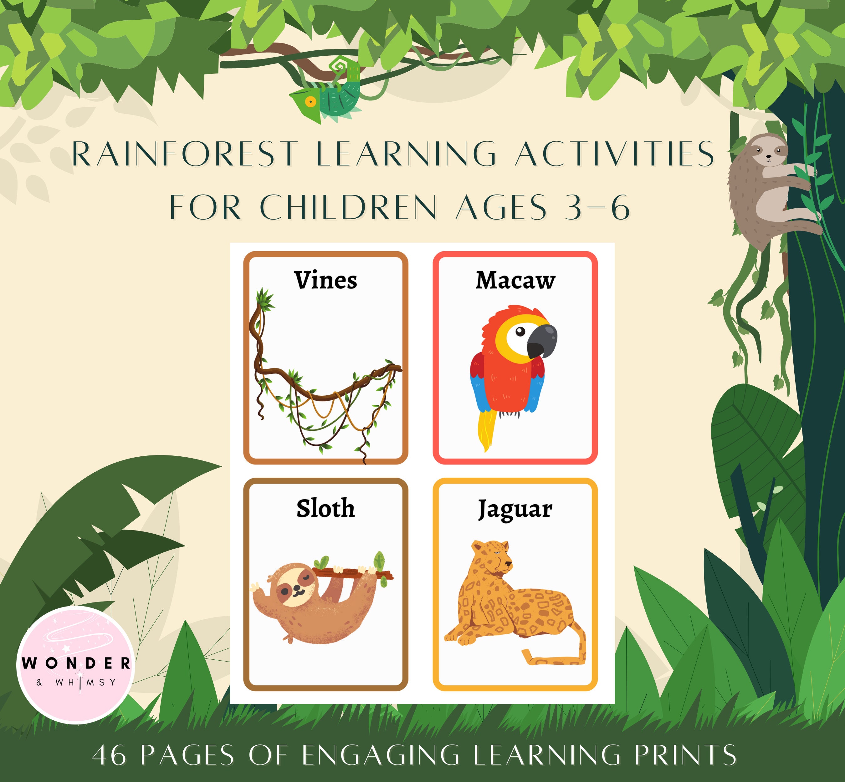 Rainforest Themed Learning Activities for Children - Etsy