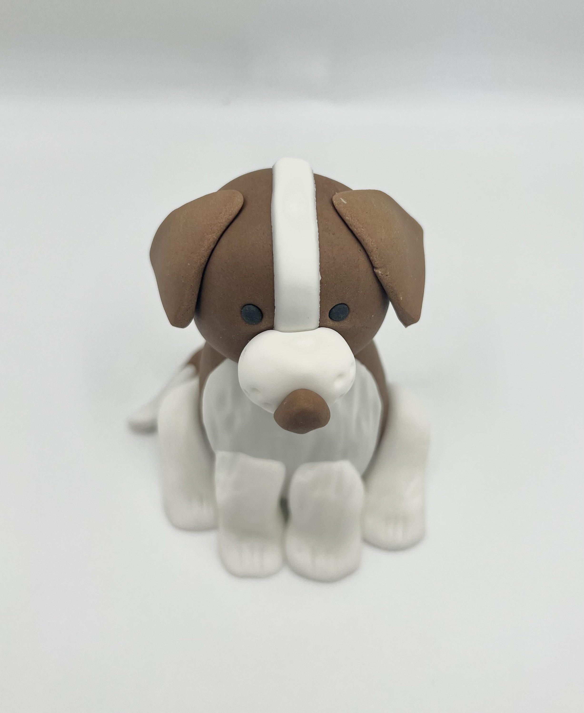 Boarder Collie Cake Topper Dog Cake Topper Pet Cake Topper - Etsy UK