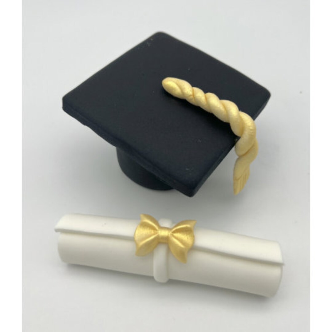 Graduation Cake Topper, School Cake Topper, Handmade Edible Cake ...