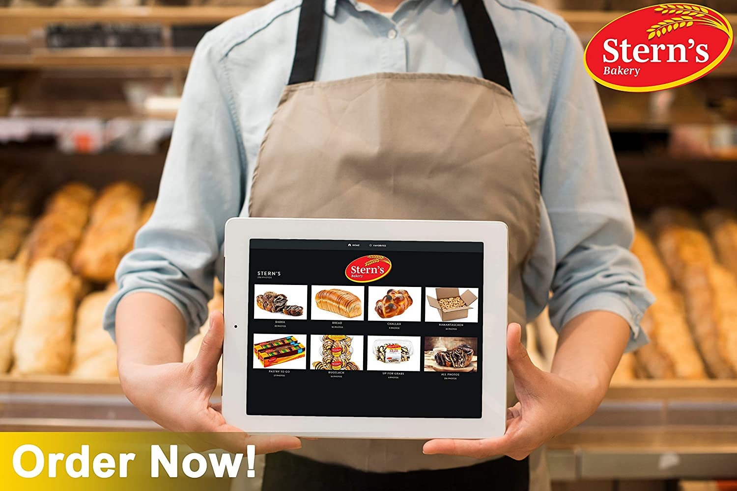 Stern's Bakery Kosher Challah Bread-15 Ounce Traditional Challah for ...