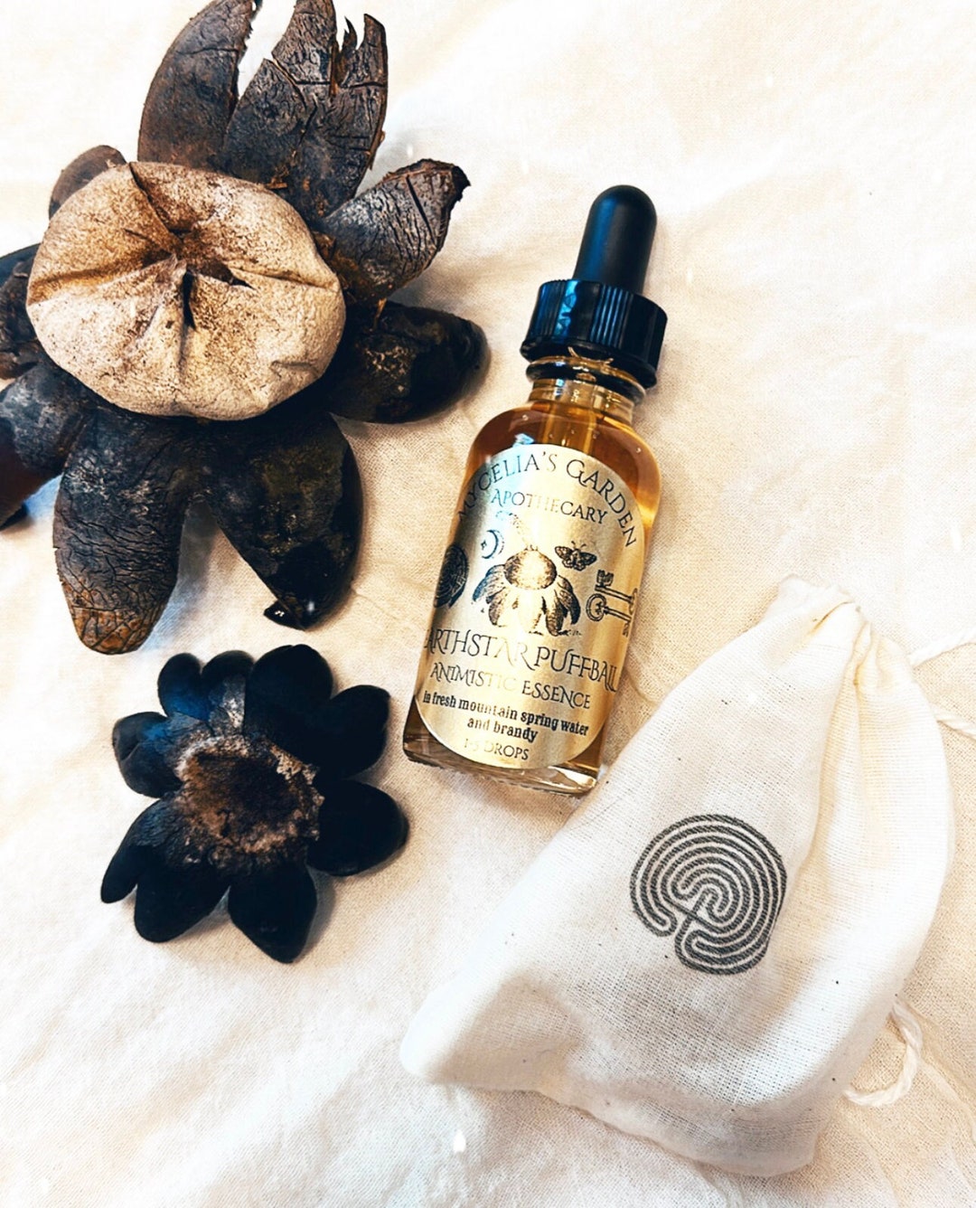 Earthstar Puffball Animistic Essence and Oracle - Etsy
