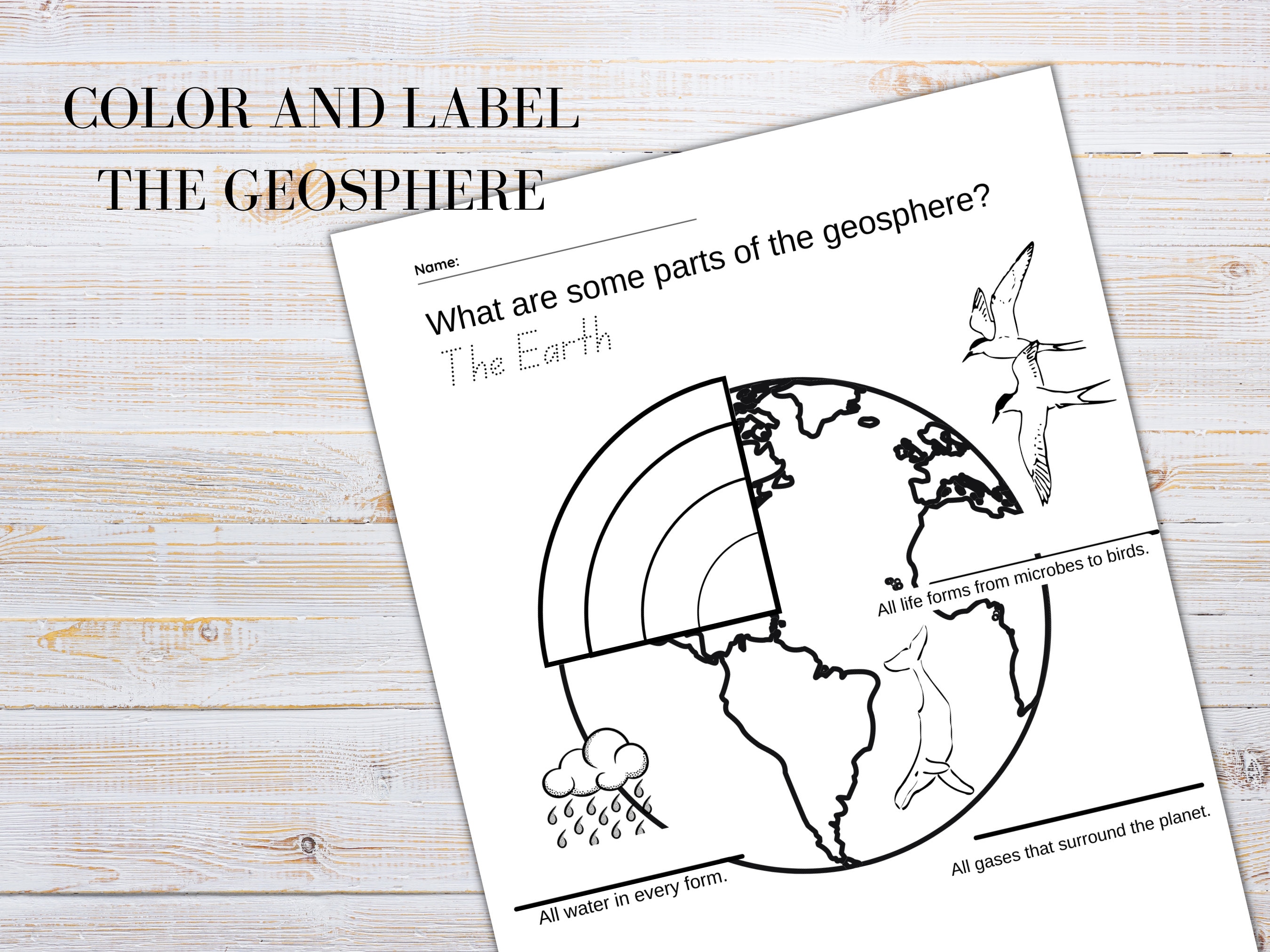 What Are Some Parts of the Geosphere? Coloring Sheet Worksheet | Cycle ...