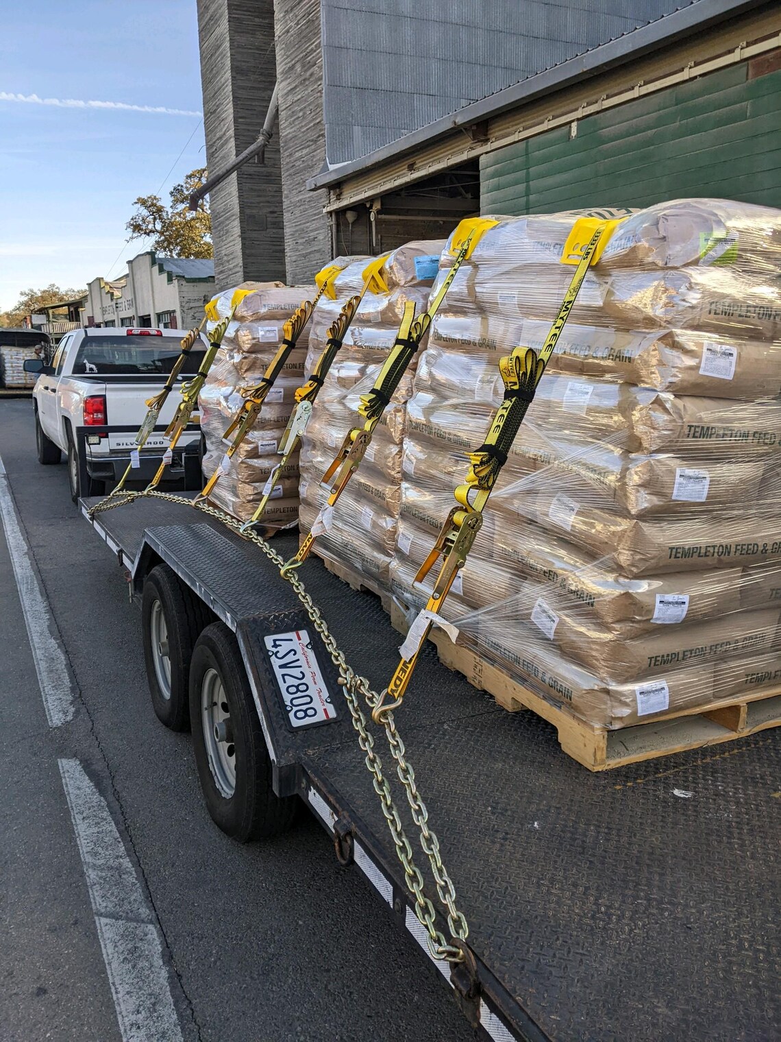 World's Best Fertilizer Rabbit Poop Tea free Shipping - Etsy