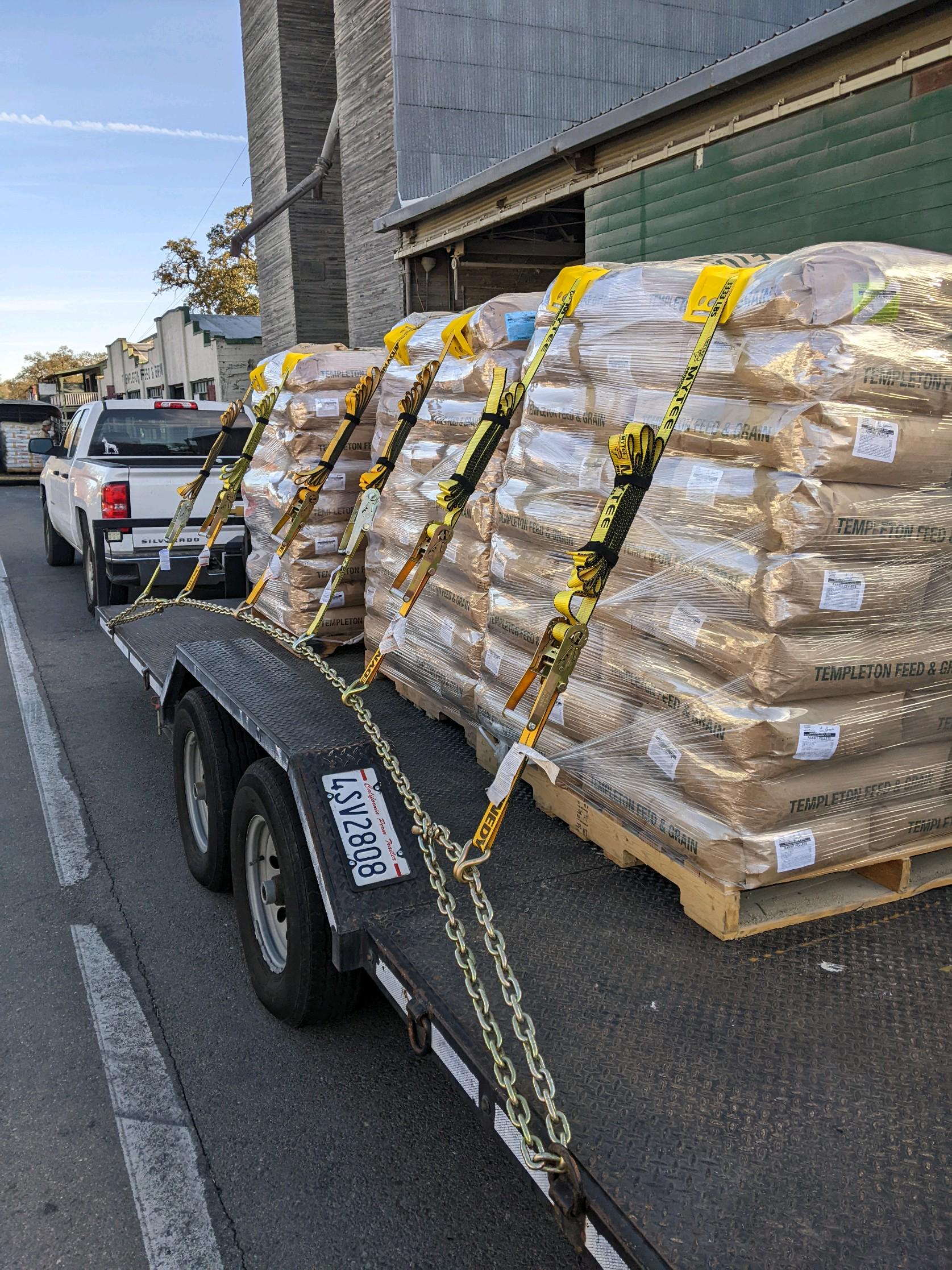 World's Best Fertilizer Rabbit Poop Tea free Shipping - Etsy