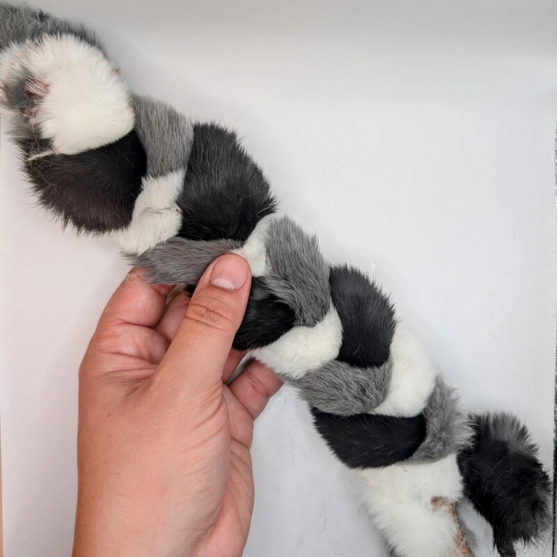 Dog Cat Braided Toys - Etsy