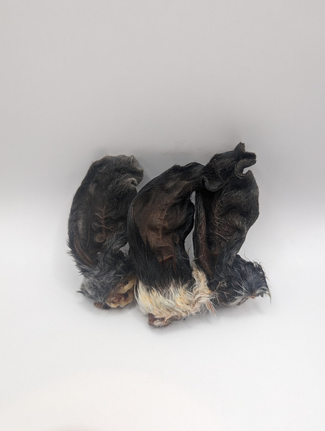 Rabbit Ear Dog Treats free Shipping - Etsy