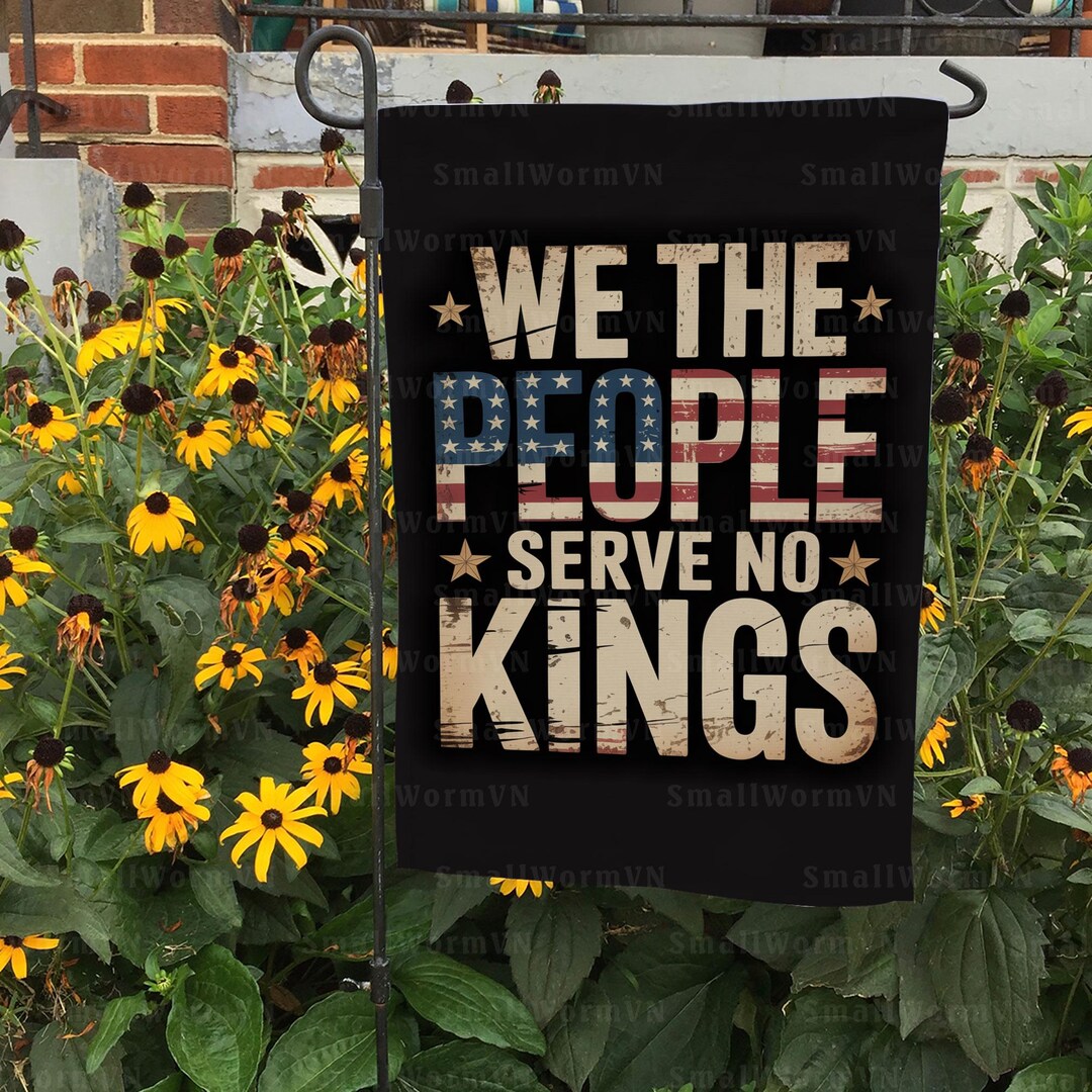 We the People Serve No Kings Flag, Resist Fascism Flag, Subtle Democrat ...