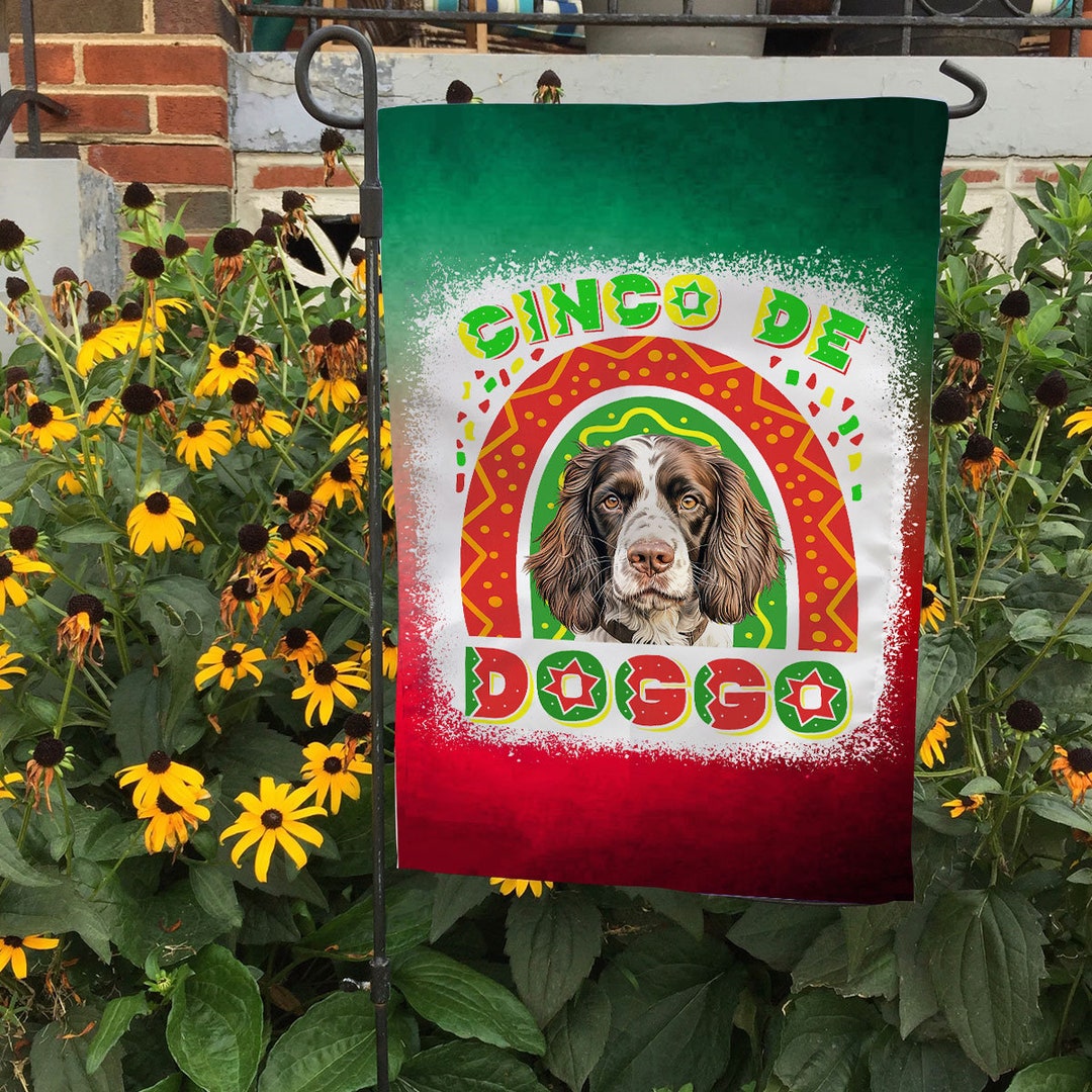 Cinco De Doggo Dog Border Collie Flag, Mexican Fiesta Rainbow Flag ...
