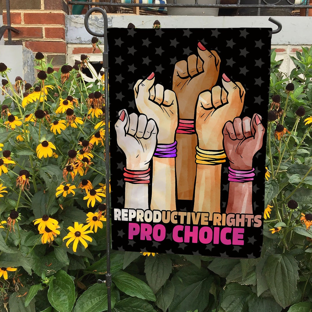 Reproductive Rights Flag, Pro Choice Reproductive Rights, Unborn Lives ...