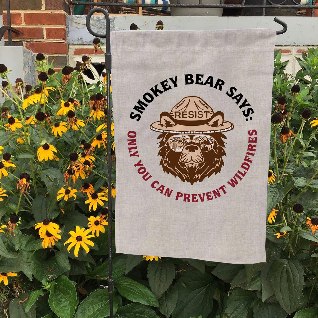 Smokey Bear Say Only You Can Prevent Wildfires Flag, Environmental ...