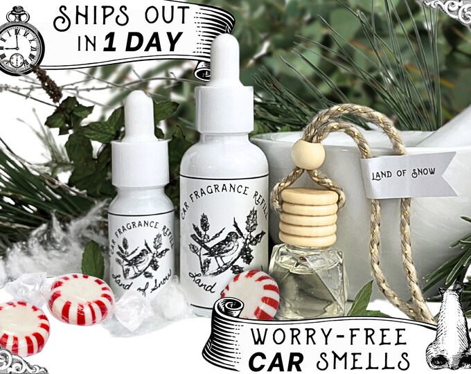 Peppermint Car Diffuser, Hanging Car Air Freshener, Candy Cane Scent ...