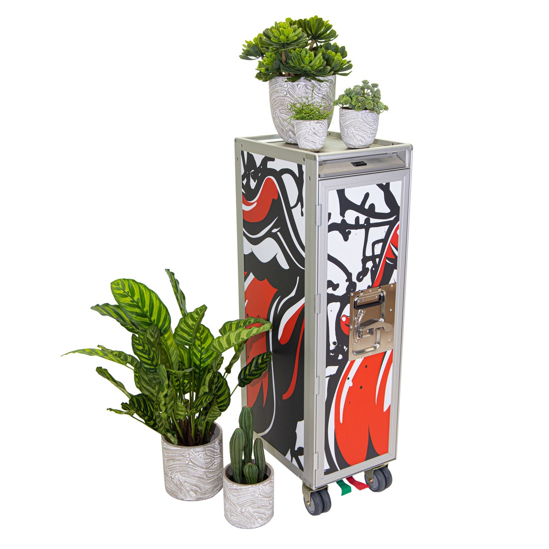 New Pop Art Airplane Trolley Galley Cart - Etsy