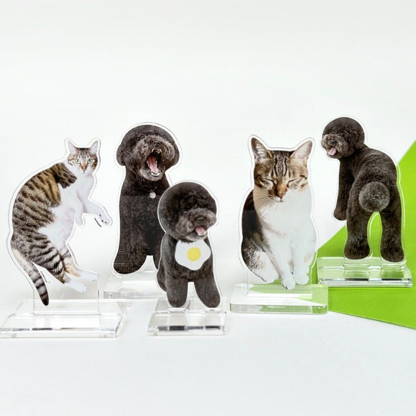 Acrylic Cutouts Custom Photo - Etsy