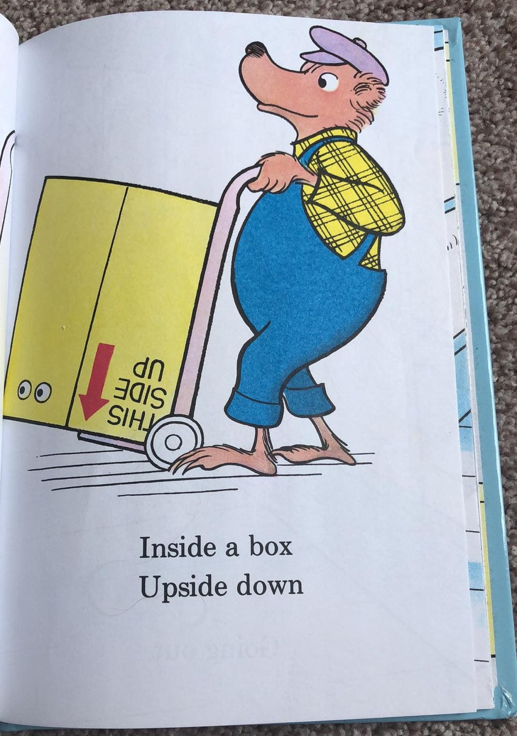 Inside Outside Upside Down | 1968 Dr Seuss / Berenstain Bears - Etsy