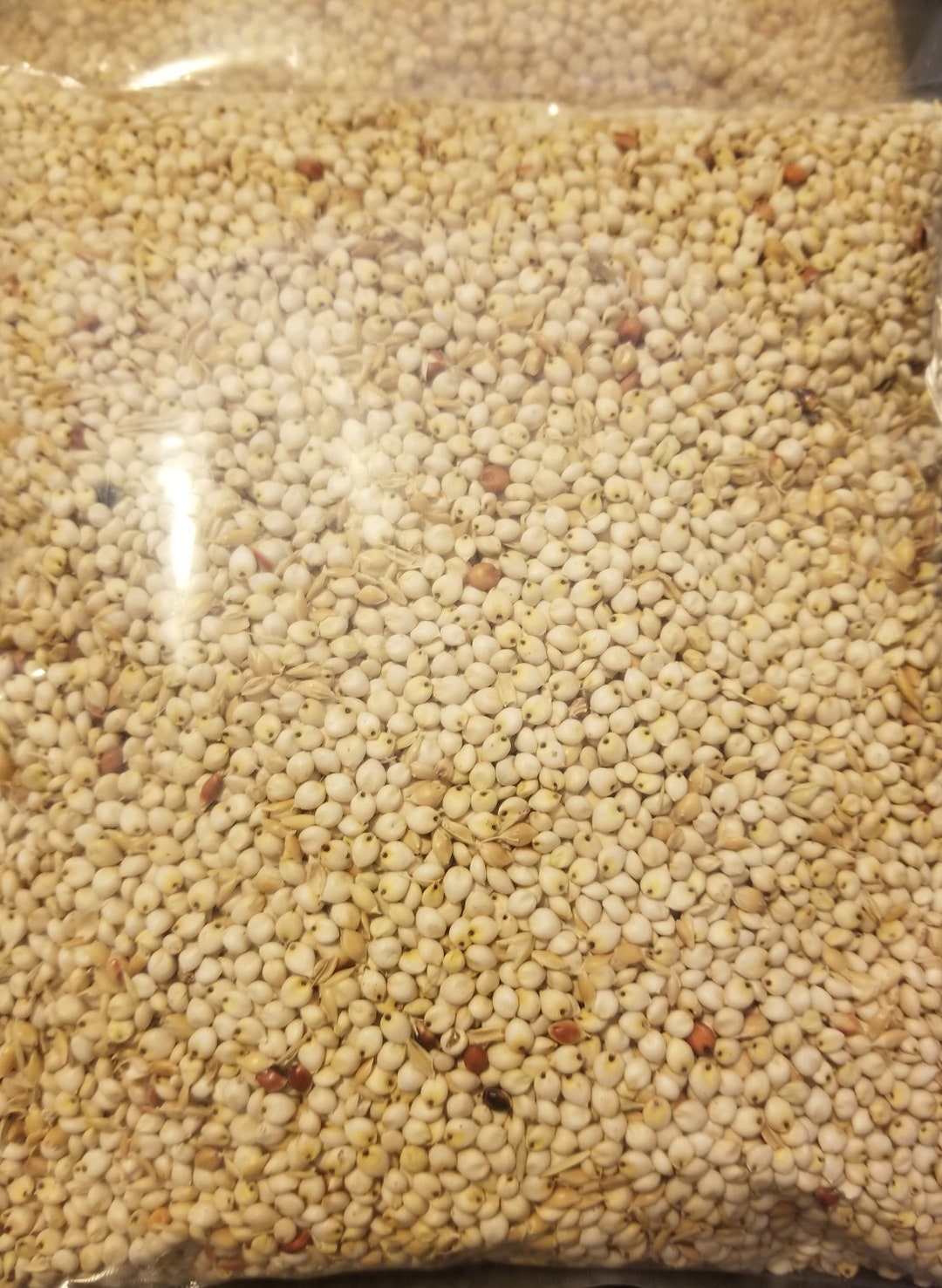 Guinea Corn Millet 30oz - Etsy