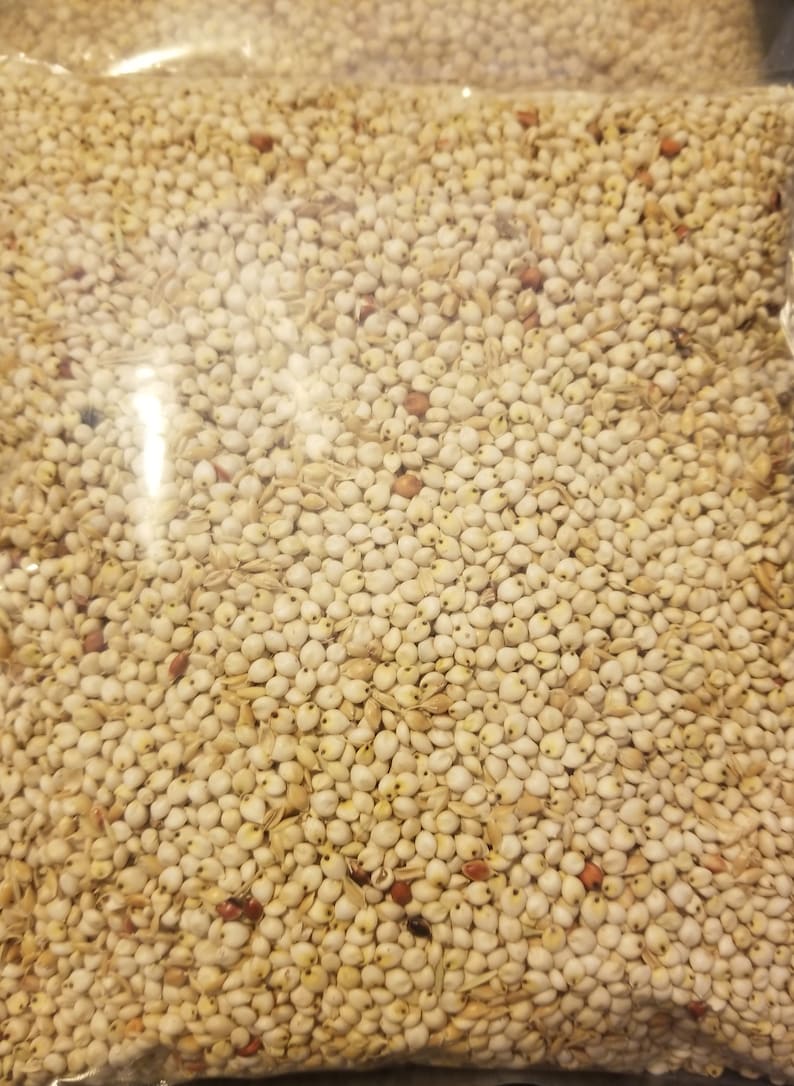 Guinea Corn Millet 30oz - Etsy