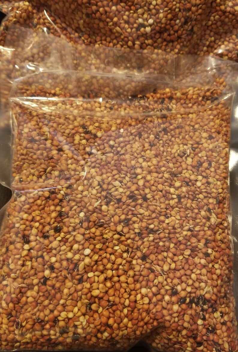 Guinea Corn Millet 30oz - Etsy