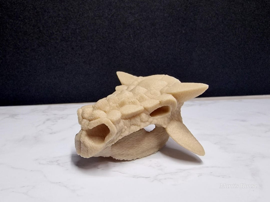 MH Ankylosaurus Skull - Etsy