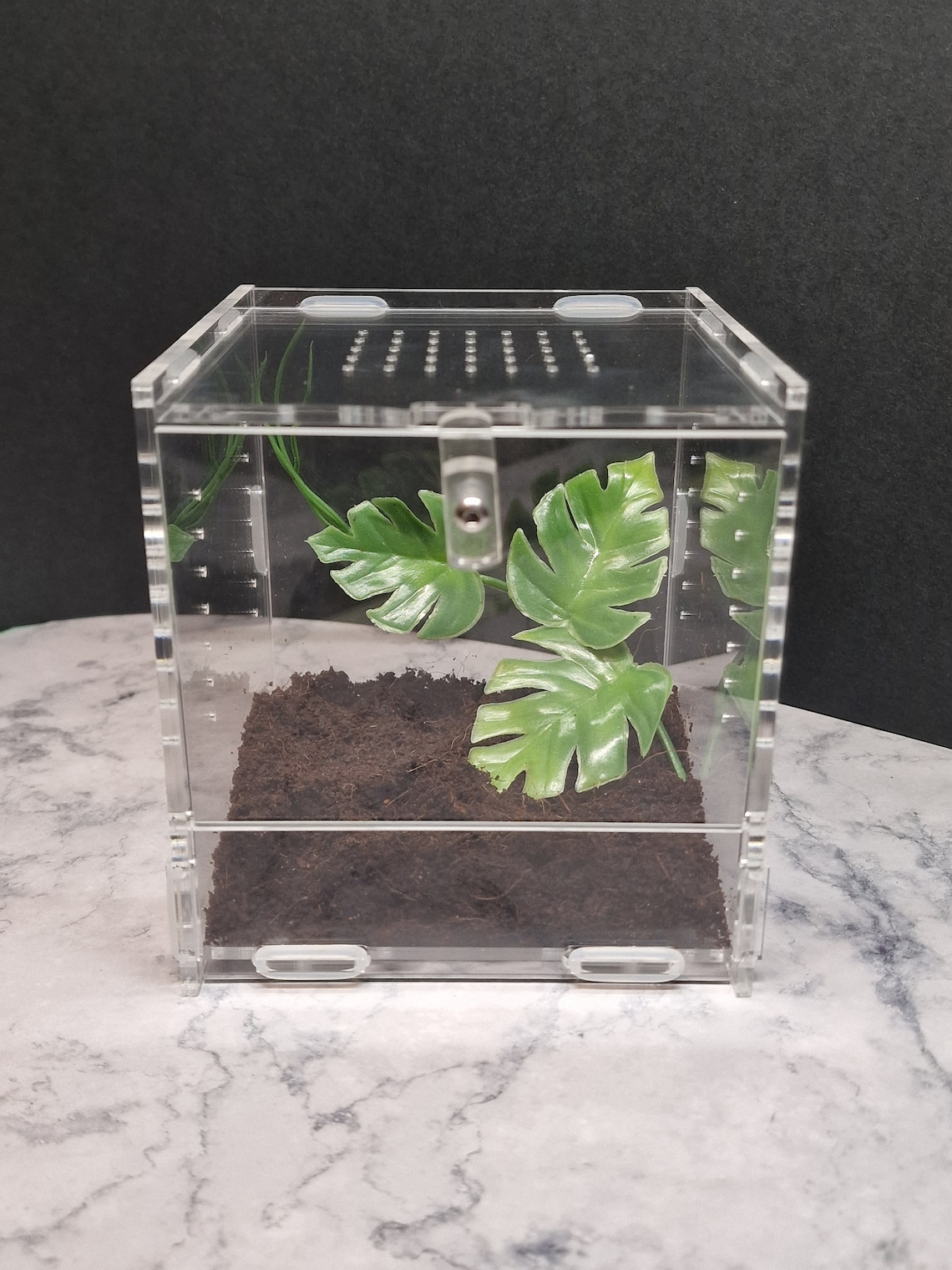 NFM Terrestrial Enclosure - Beetles/spiders/inverts Bioactive Terrarium ...