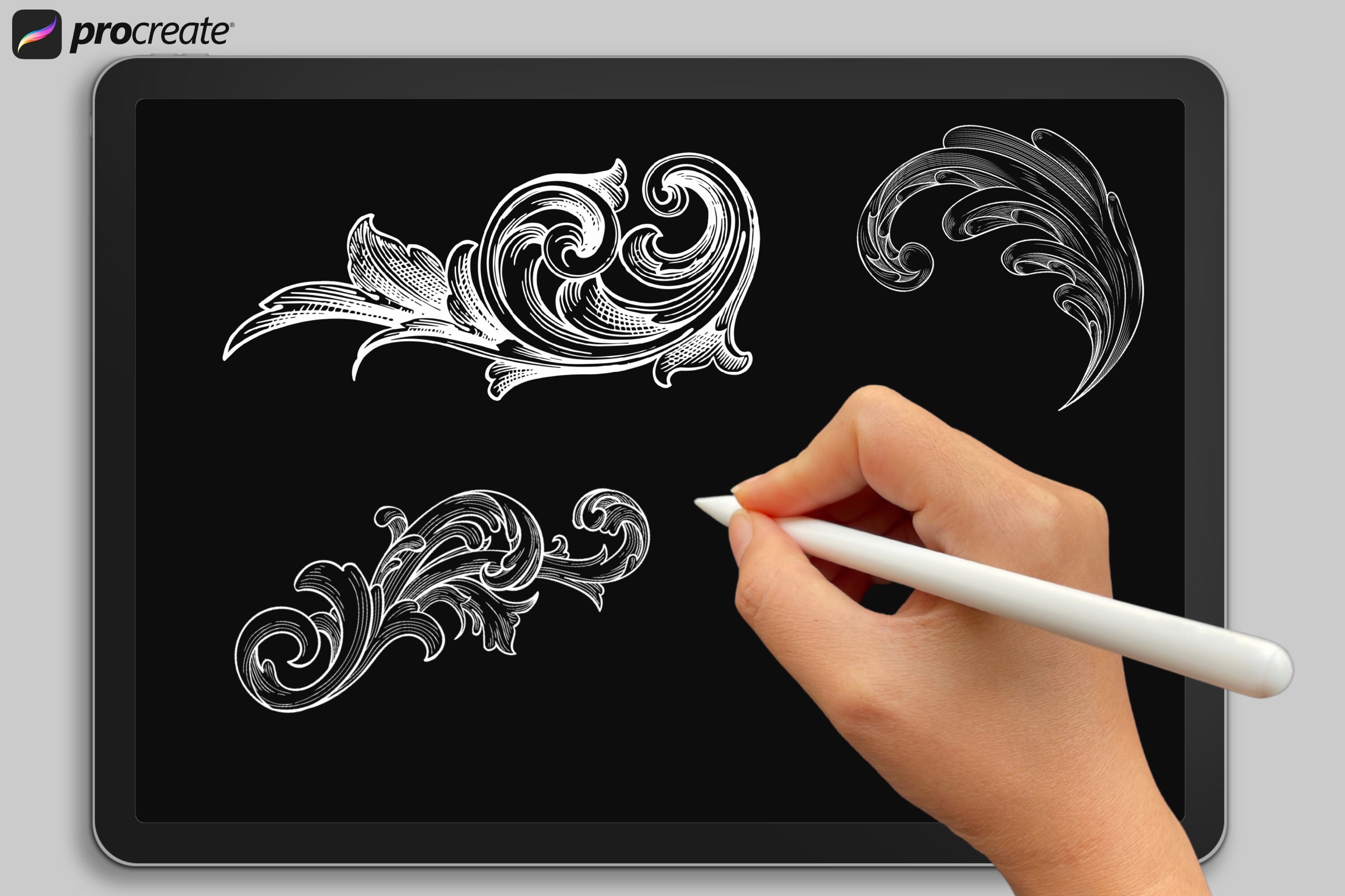 Procreate Filigree Design Studio: 200+ Decorative Elements (digital ...