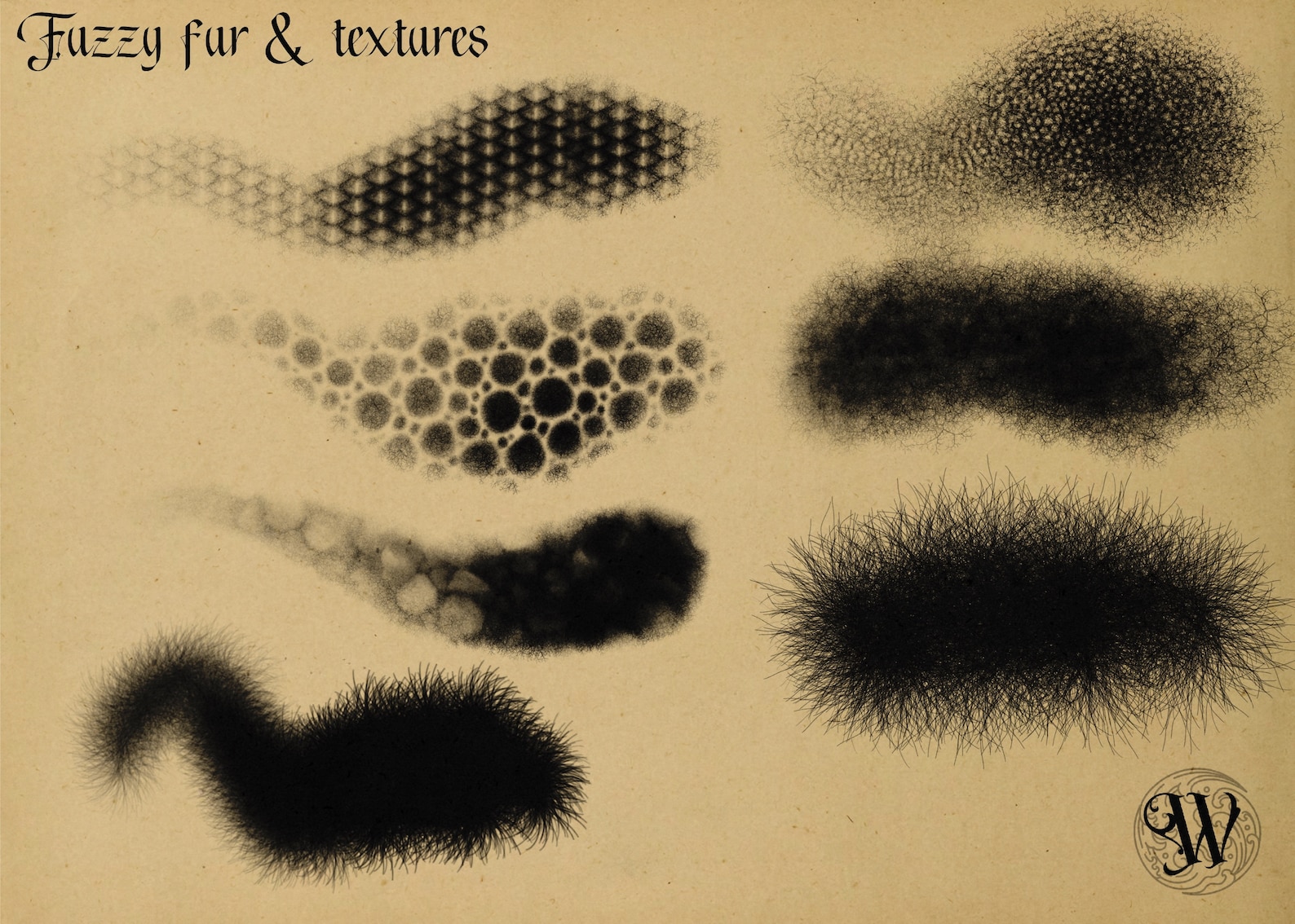 Procreate / Furry, Fuzzy & Scale Brushes - Etsy