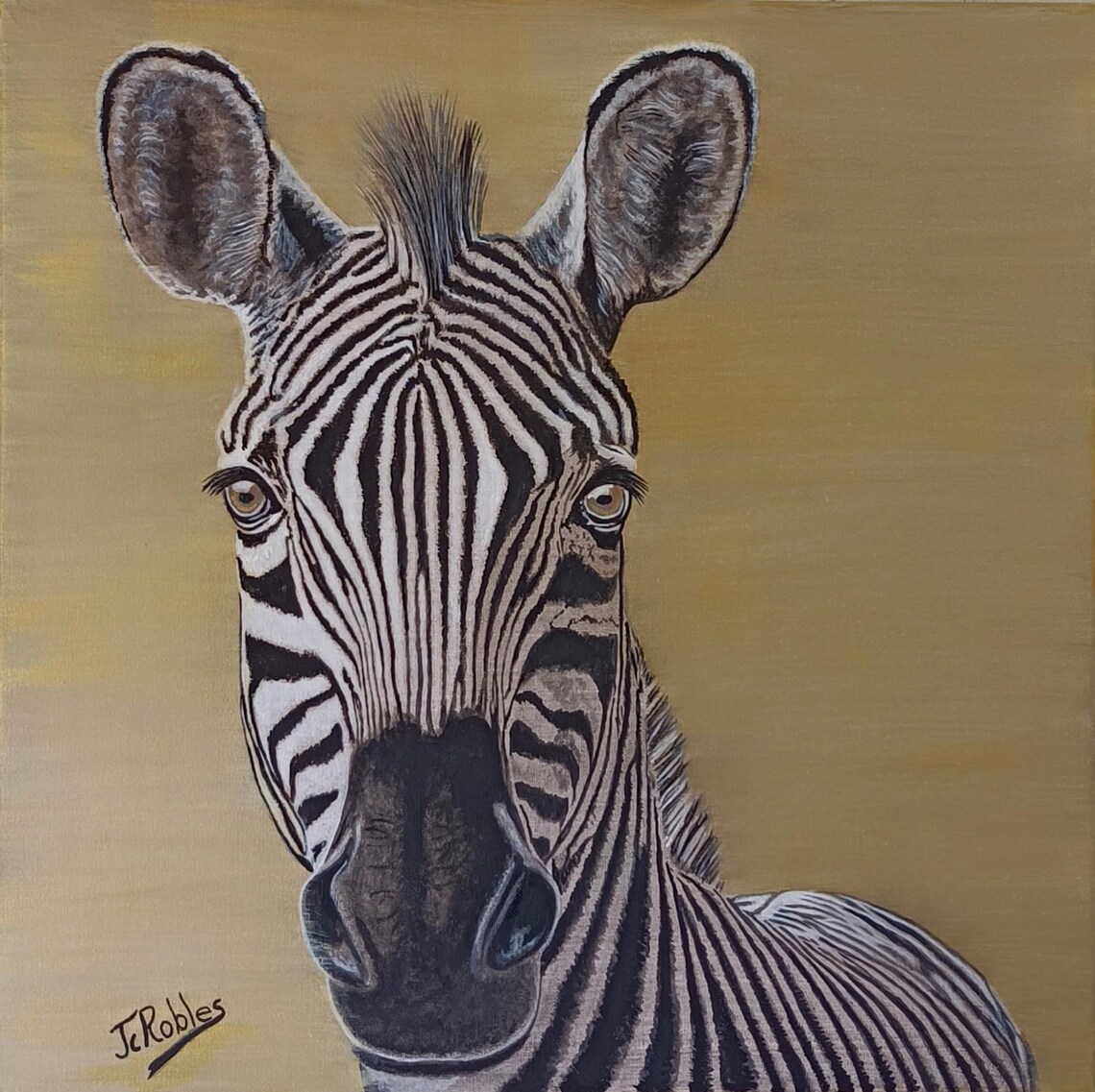 Portrait of a Zebra. Original Work, the Gaze is Stunning! - Etsy