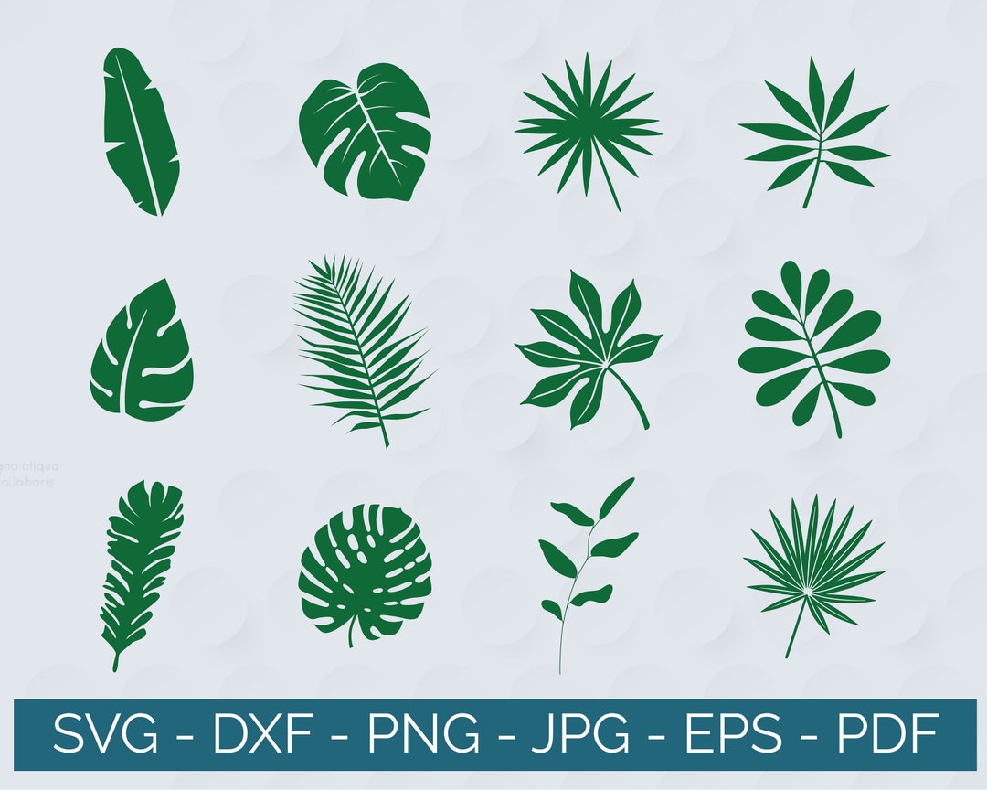 Monstera Leaf Svg, Hibiscus Svg, Tropical Leaves Svg, Palm Leaf Svg ...