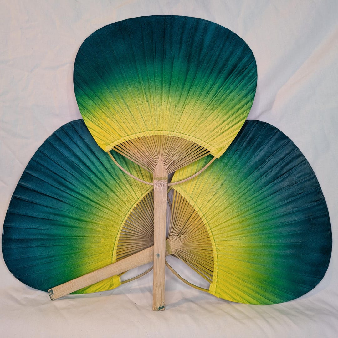 Hand Painted Paddle Fan / Uchiwa Fan - Tropical Fish - Etsy