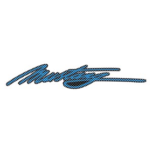 Ford Mustang Script in Blue Perforated Unobstructed View 12" Vinyl ...