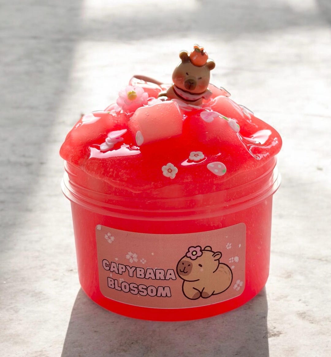 Capybara Blossom Jellycube Slime - Etsy