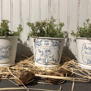 French Country Tins. Set of 3 - Etsy