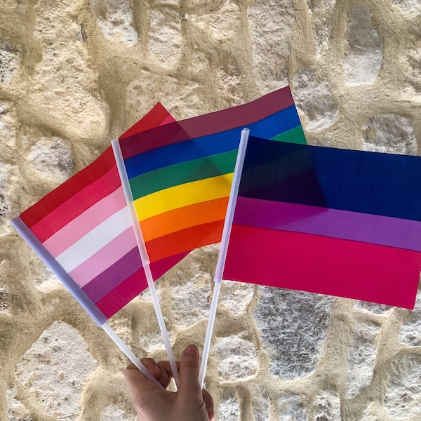Small pride flag gay - Etsy France