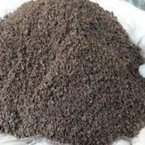 Biji Randu Randu Seed dried and Powder - Etsy