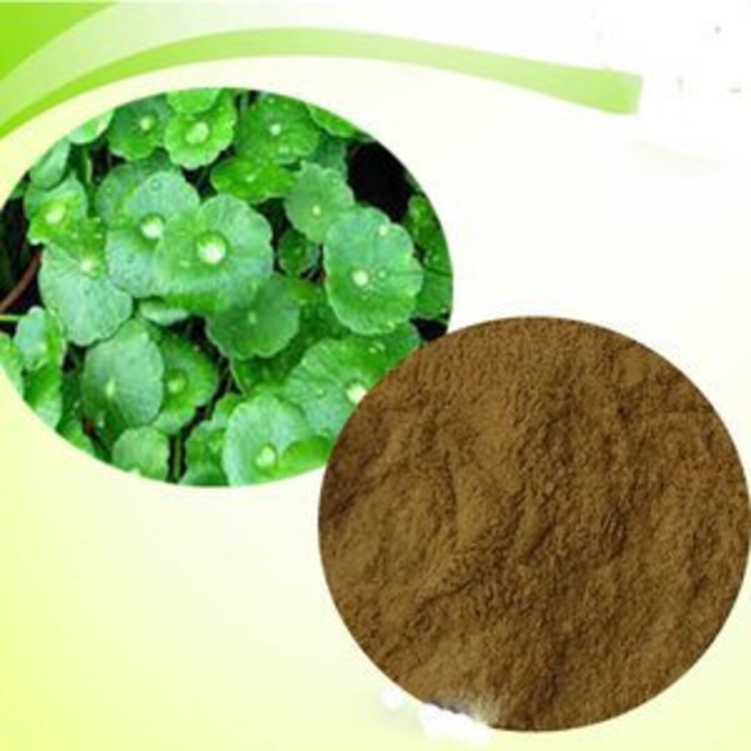 Daun Pegagan Centella Asiatica Leaf dried and Powder - Etsy