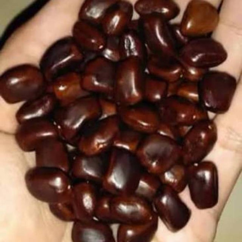 Biji Asam Jawa Kering Tamarind Seeds Dried - Etsy