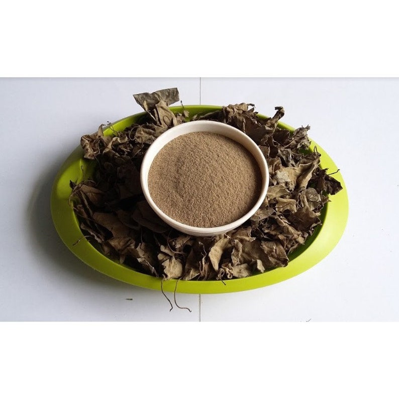 Daun Simbukan Sembukan Paederia Foetida Leaf dried and Powder - Etsy