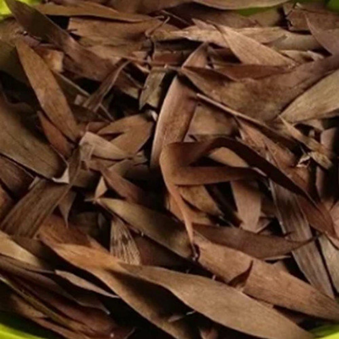 Daun Kayu Putih eucalyptus Leaves Melaleuca Leucadendra Leaf - Etsy