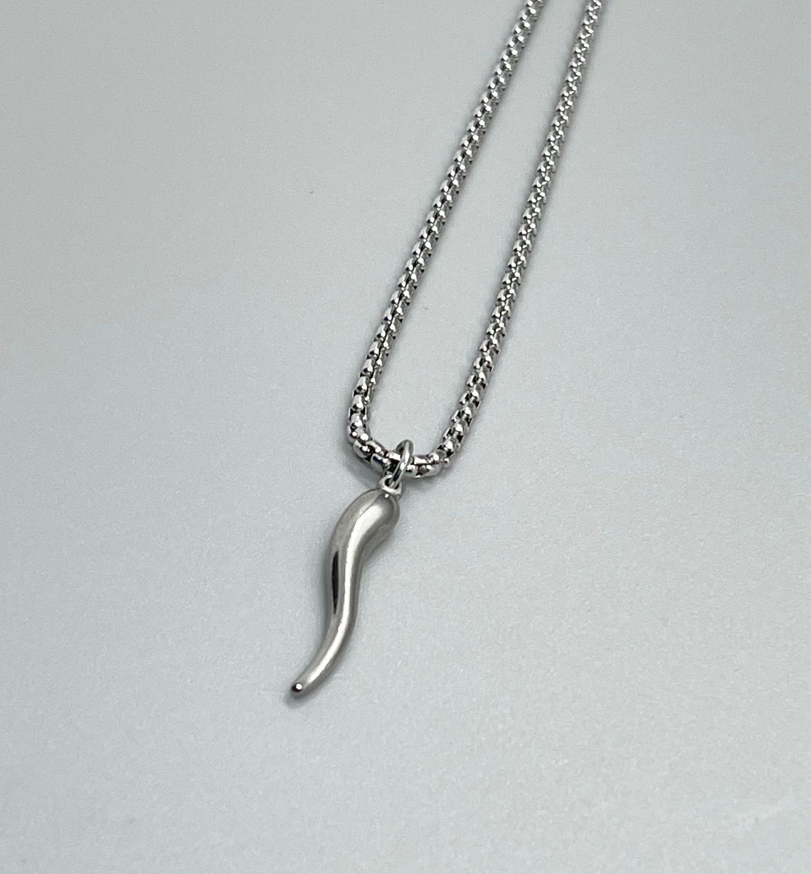 Stainless Steel Italian Horn Necklace: Cornicello Charm Pendant ...