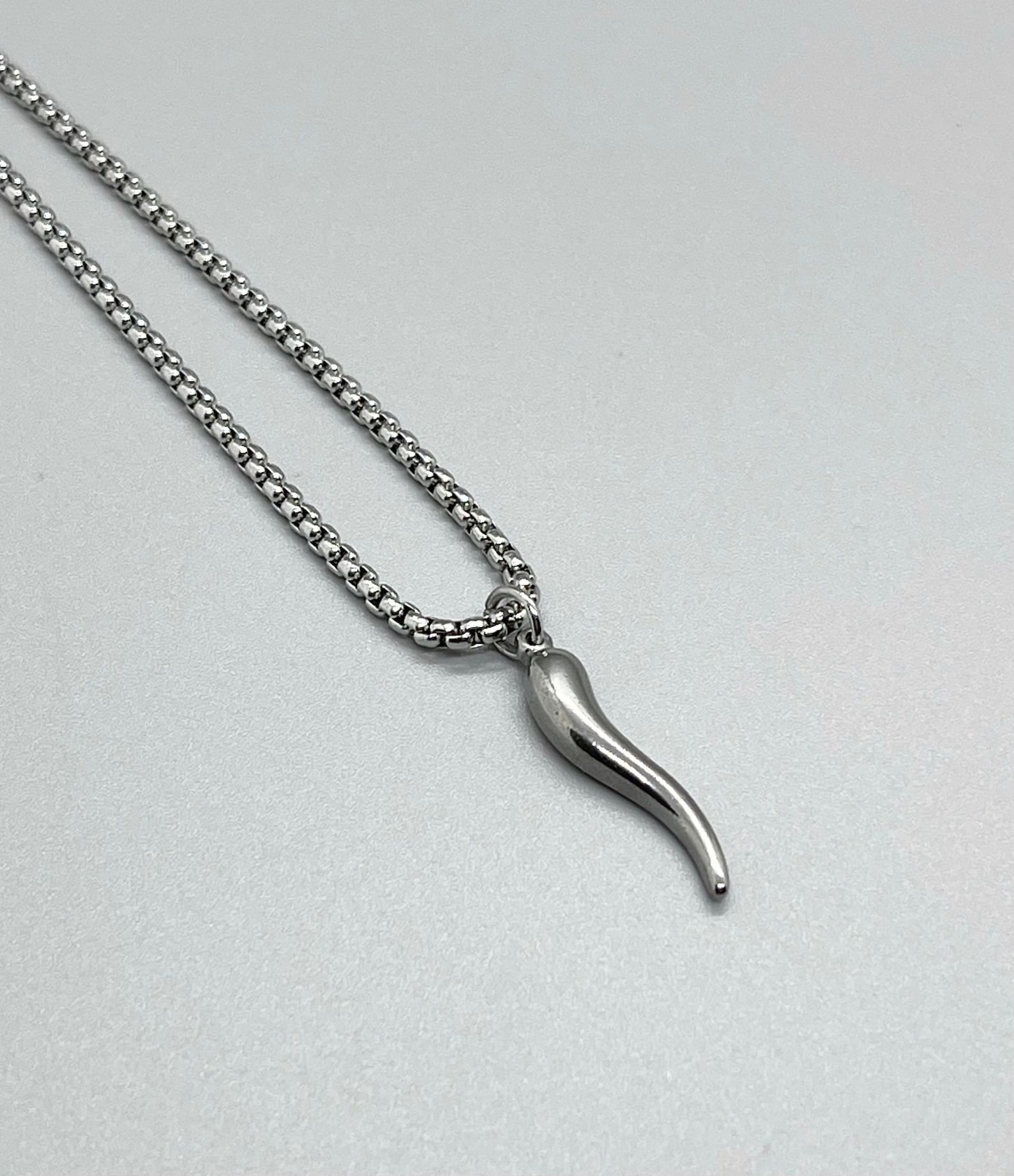 Stainless Steel Italian Horn Necklace: Cornicello Charm Pendant ...