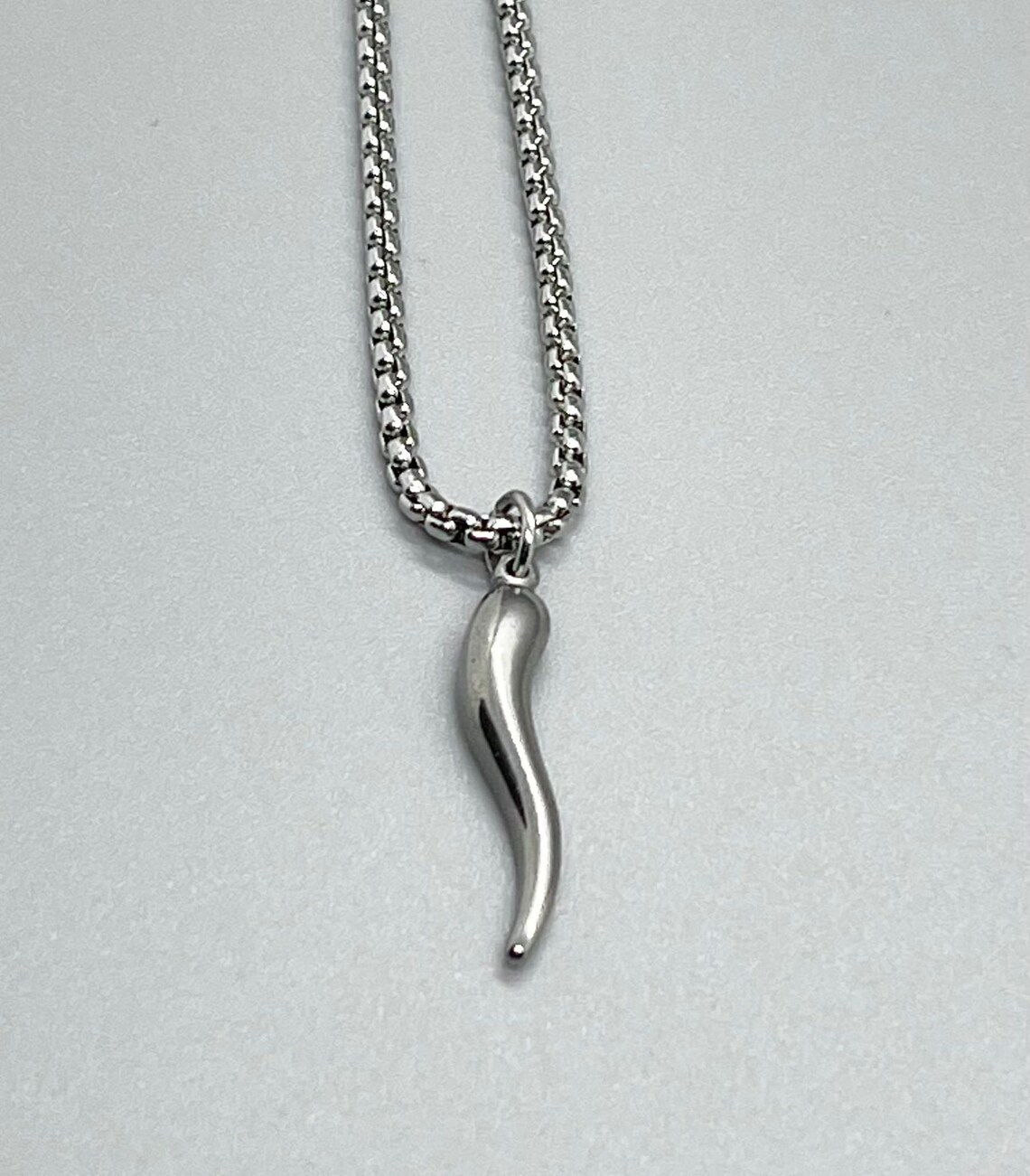 Stainless Steel Italian Horn Necklace: Cornicello Charm Pendant ...