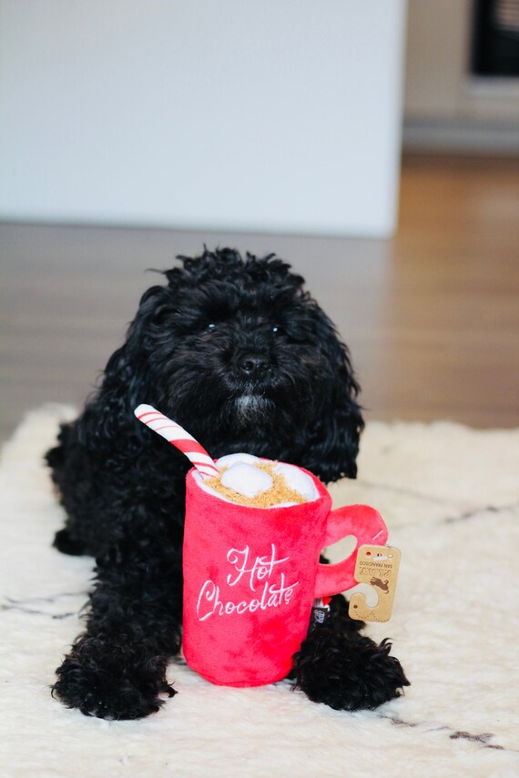 Are Dogs Allowed Milkshake