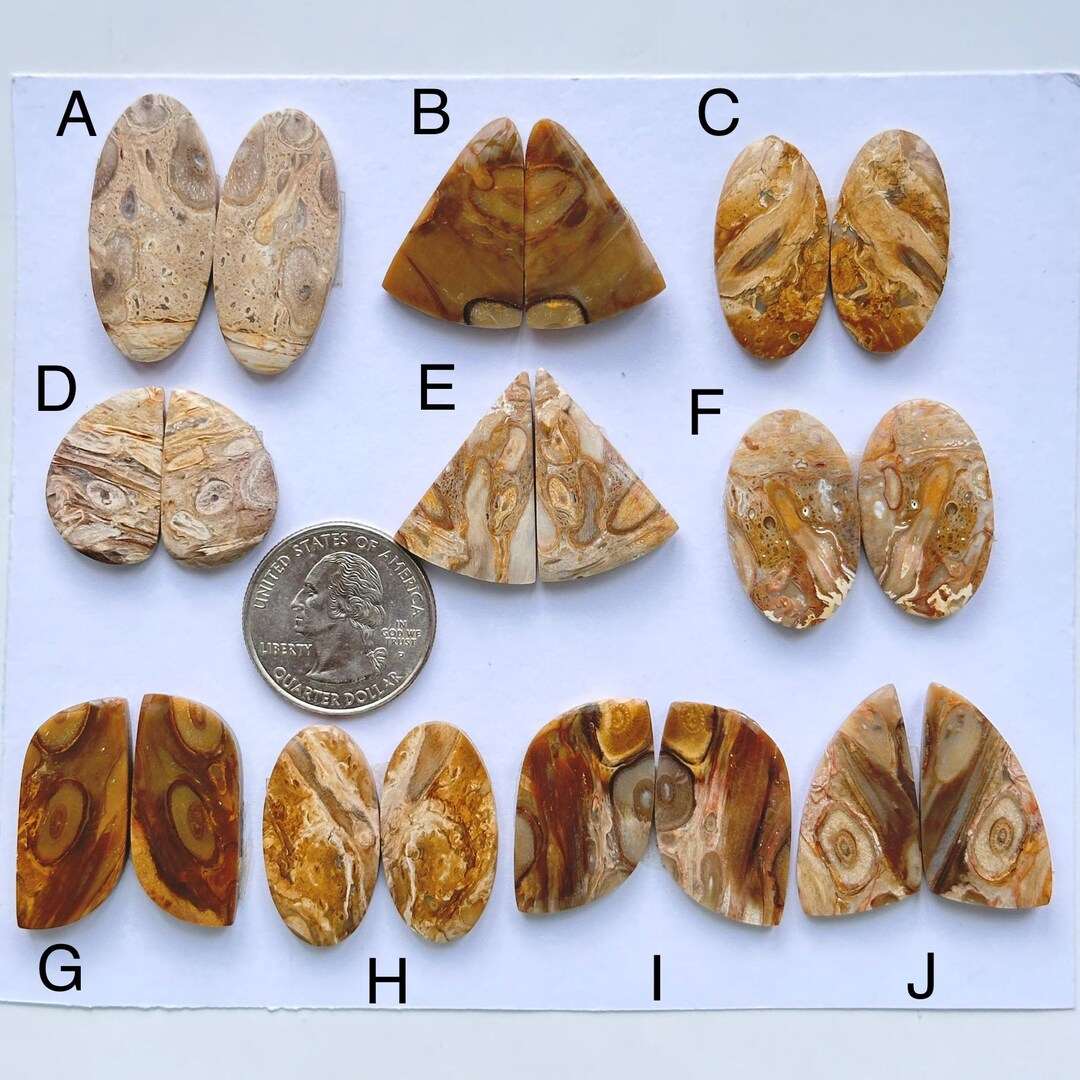 Natural Petrified Wood Agate Cabochon, Petrified Agate Matching Pair ...