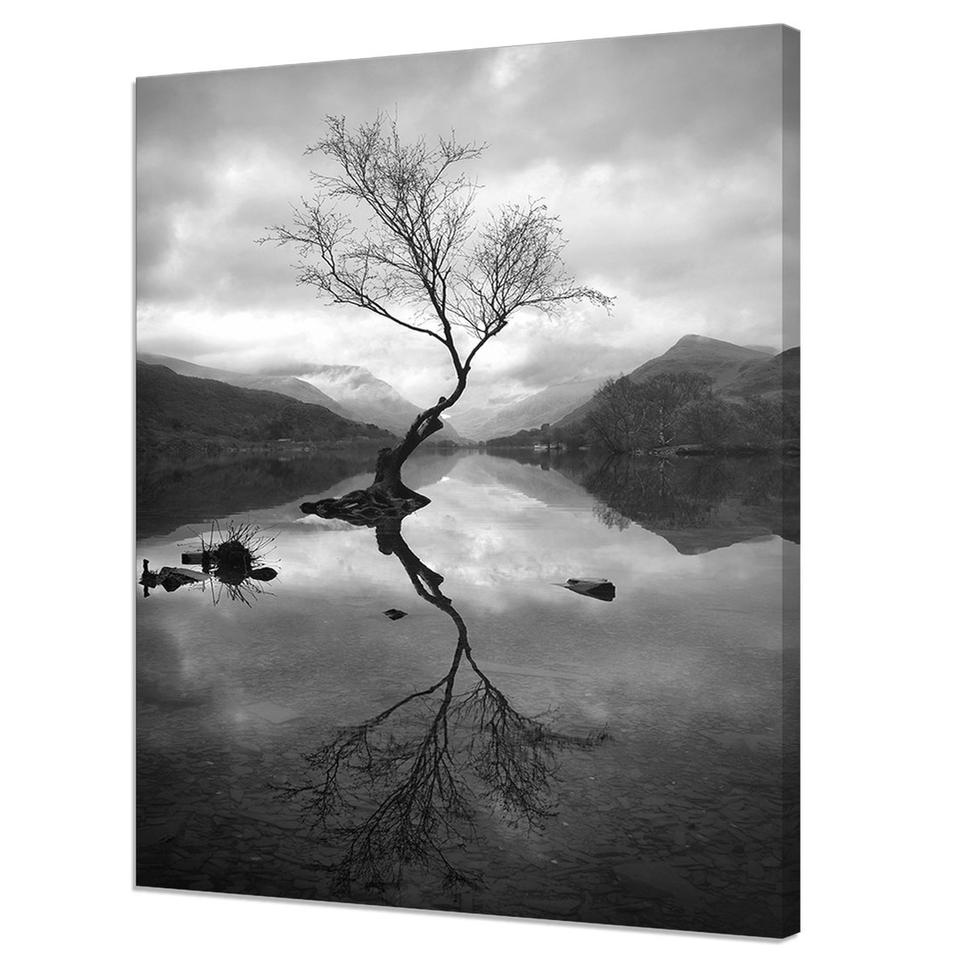 Black White Lonely Tree Lake Reflection Modern Design Home Decor Canvas ...