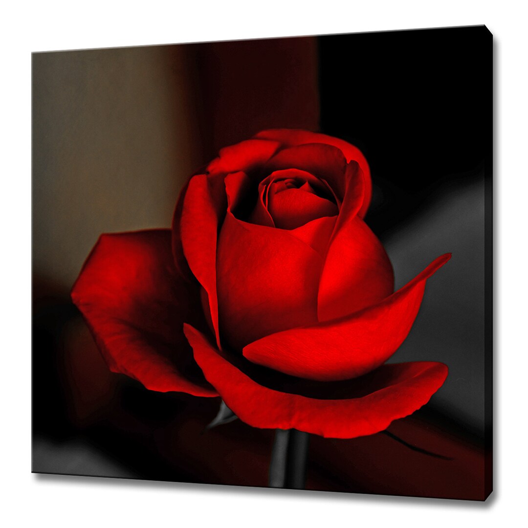 Beautiful Red Rose Flower Modern Floral Design Home Decor Canvas Print ...